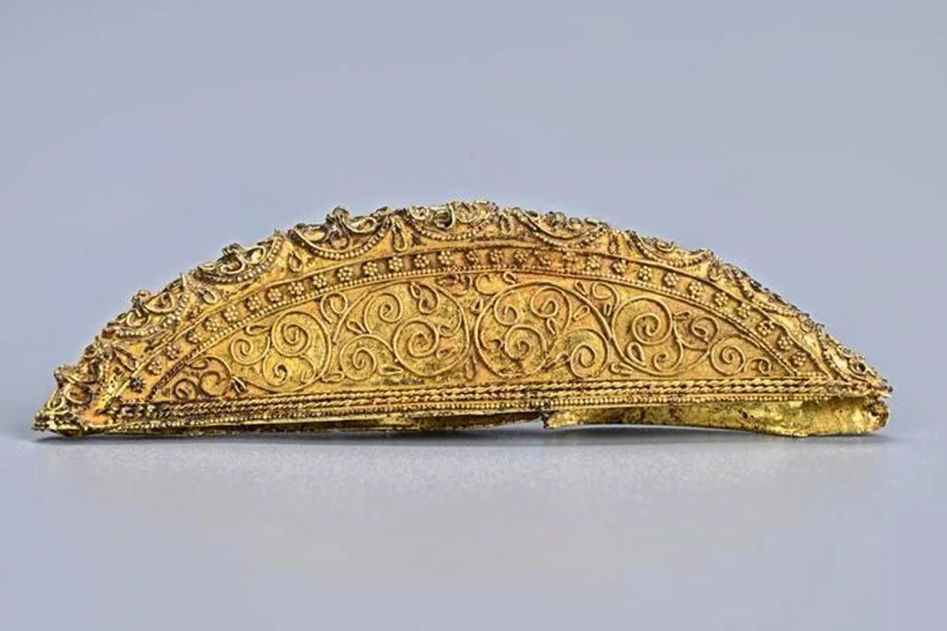 Tang Dynasty noblewoman buried with gold hair ornaments