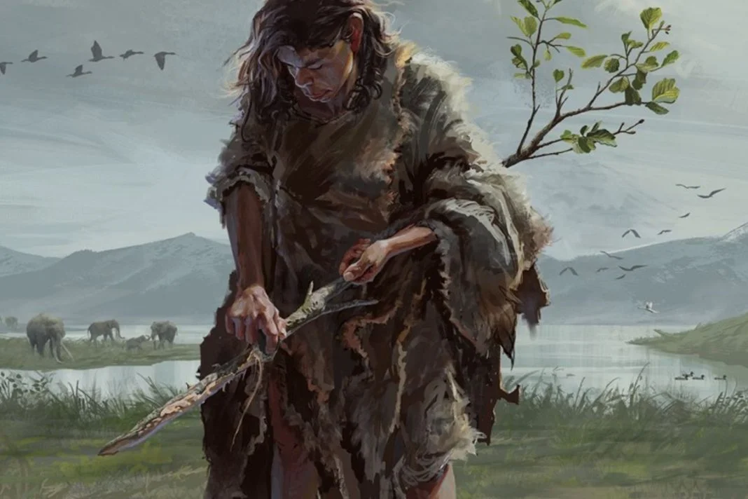 Archaeologists find earliest evidence of wooden tools used by humans